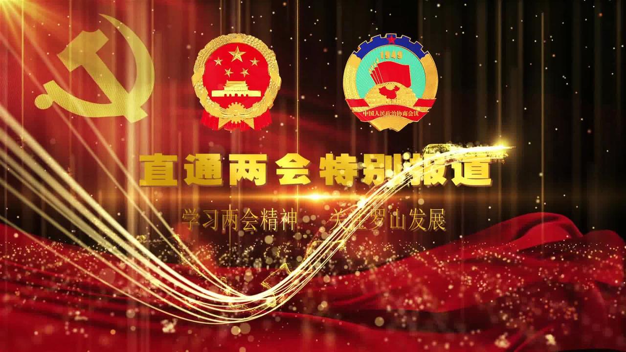 罗山县第十五届人民代表大会第四次会议开幕