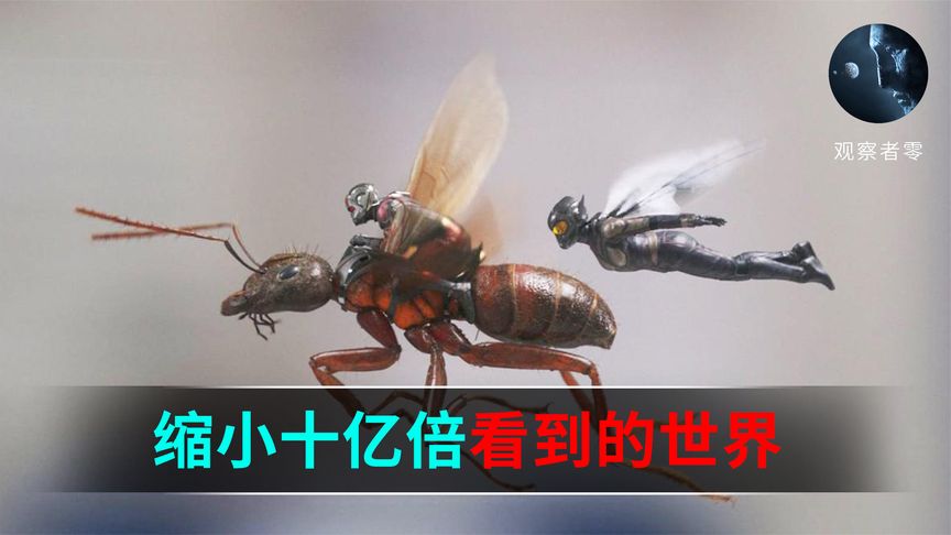带你进入·微生物世界探险