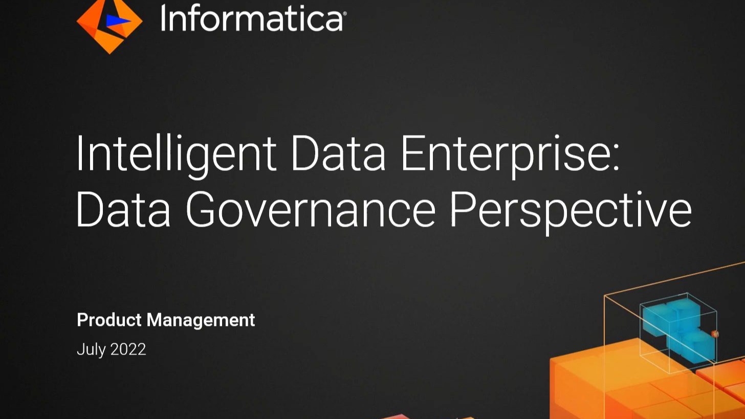 Informatica智能数据企业数据治理与隐私视角