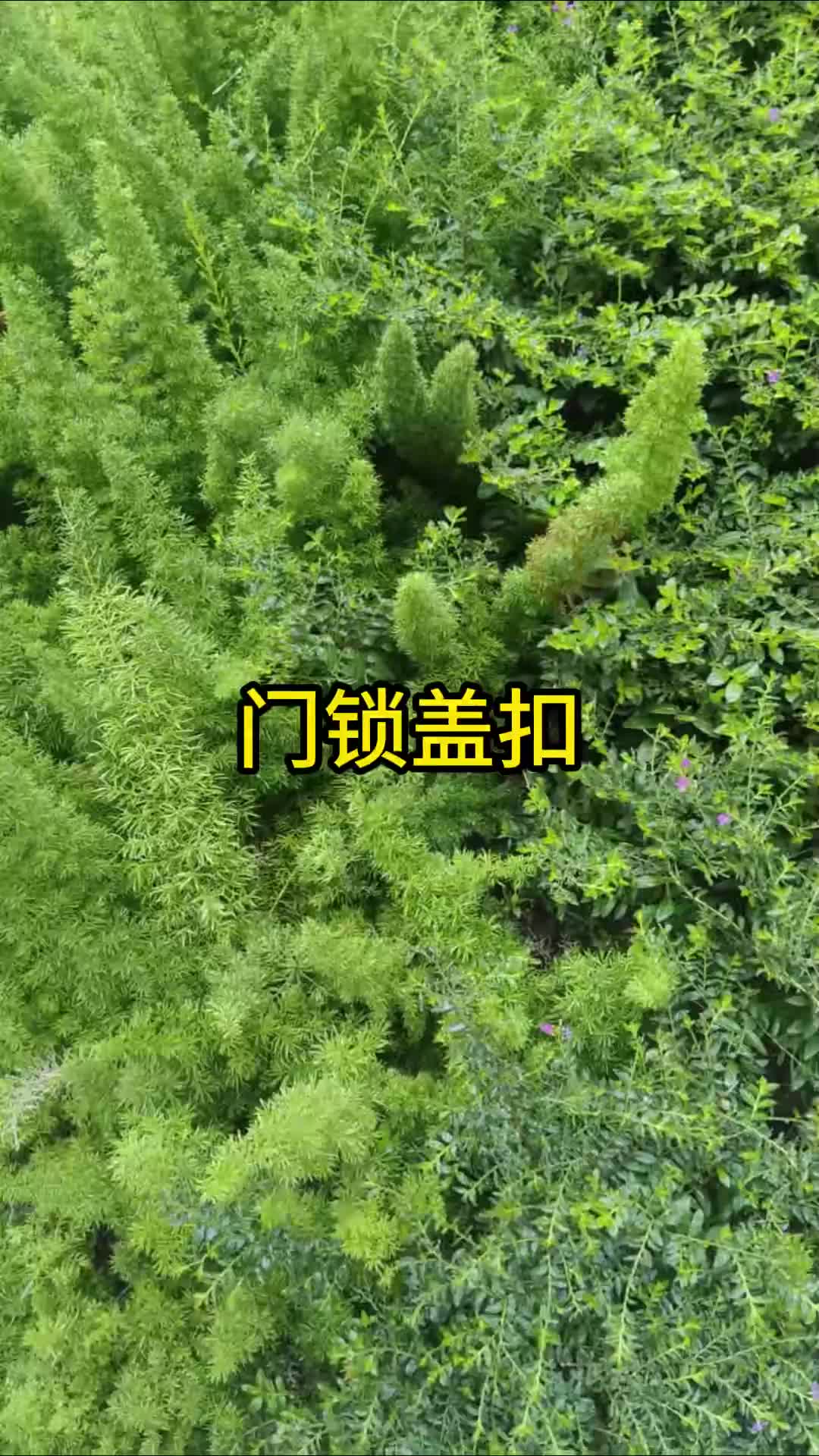 本田门锁盖扣思域雅阁CRV缤智XRV皓影型格硅胶减震缓冲车门保护套...