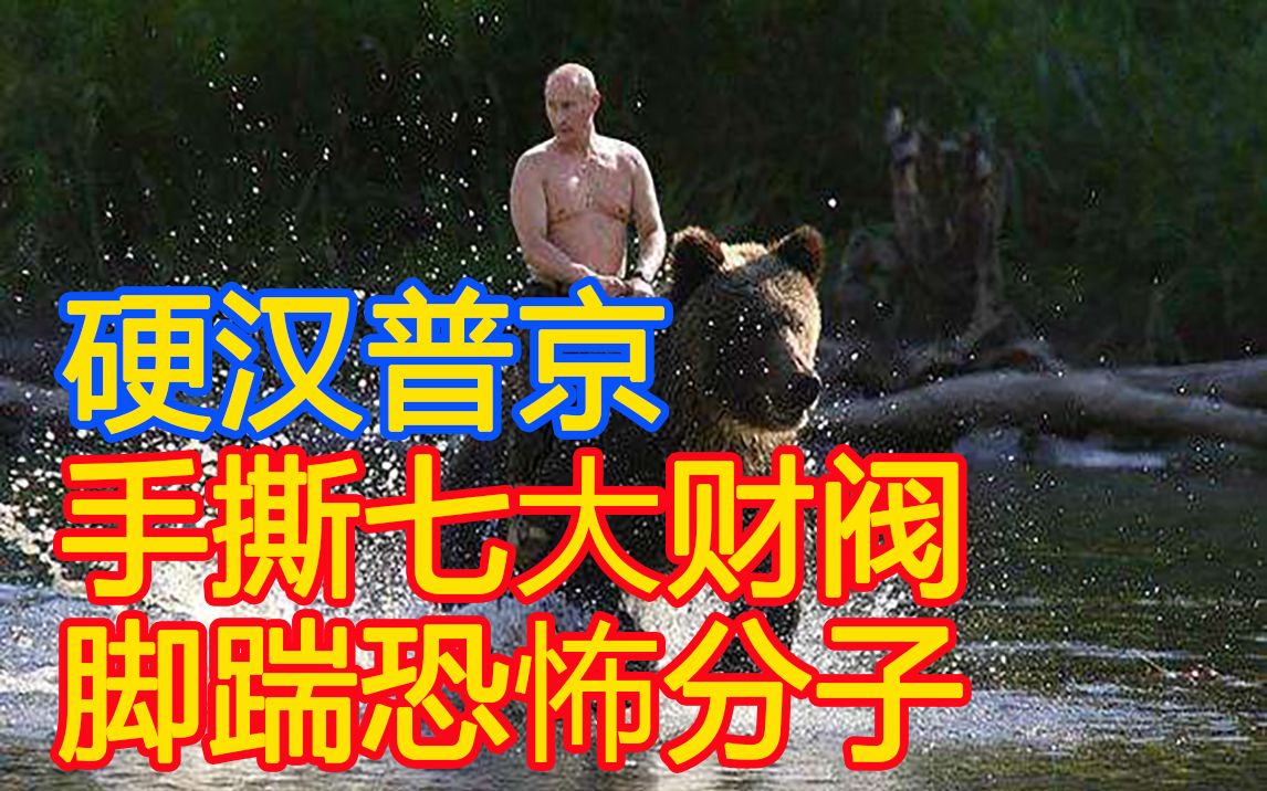 俄罗斯总统有多牛逼?就连财阀也扛不住!