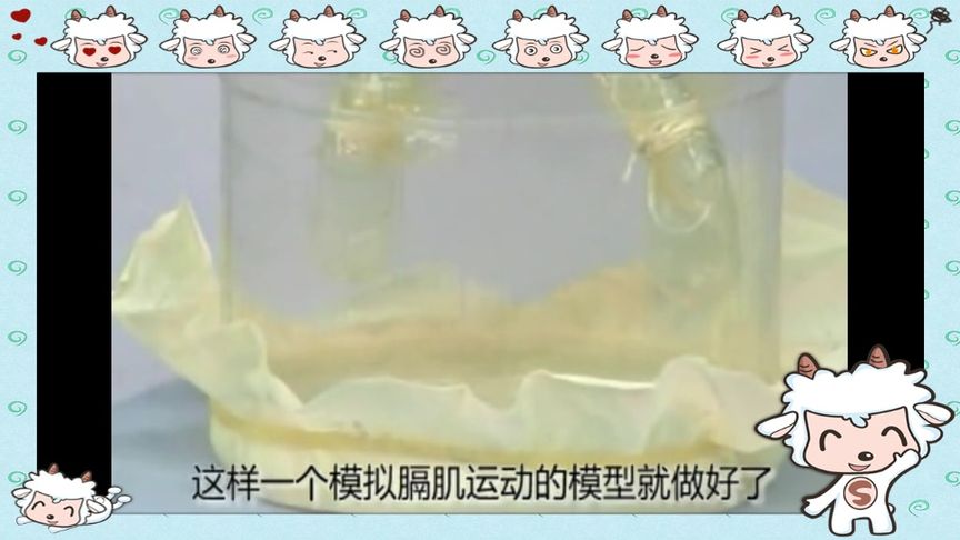 生物小实验——模拟膈肌的运动