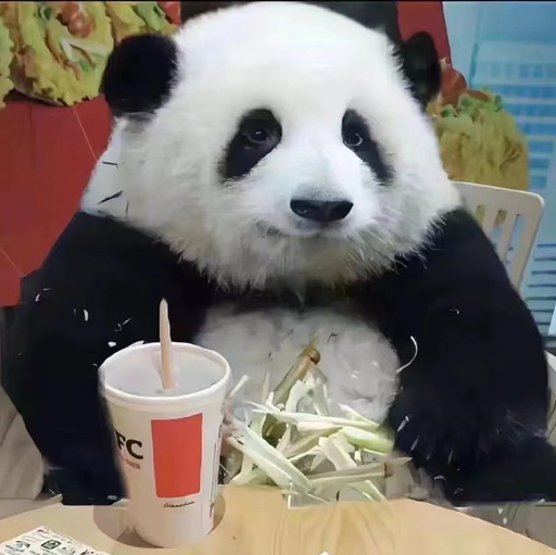 山竹老师讲数学提分 