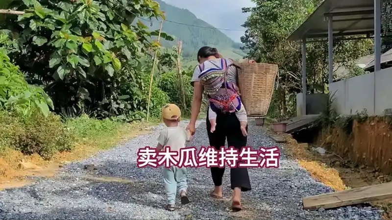 卖木瓜维持生活,妈妈带着两个孩子采摘木瓜卖家庭日常开支