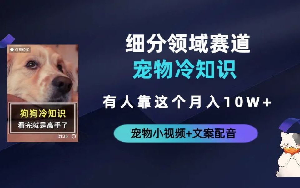 不起眼的抖音细分赛道-宠物冷知识,一段宠物视频配上文案,有人靠这个...
