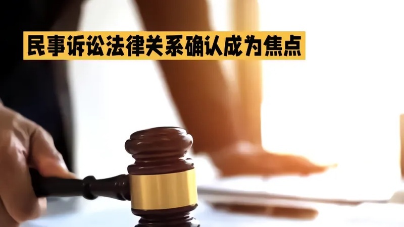 民事诉讼法律关系确认成为焦点