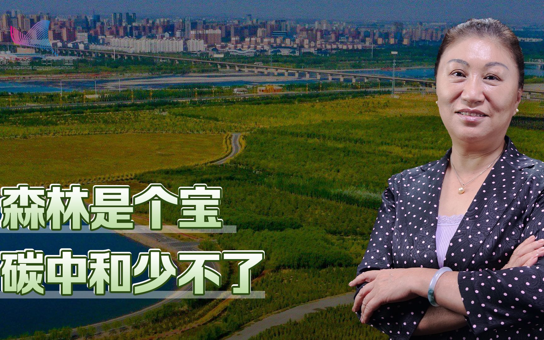 有森林就可以卖碳汇?什么才是生态产品?怎样的林业碳汇才可交易