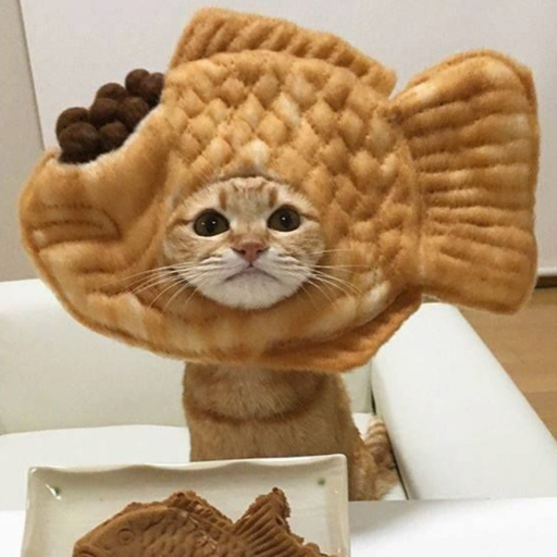 비비pibi 