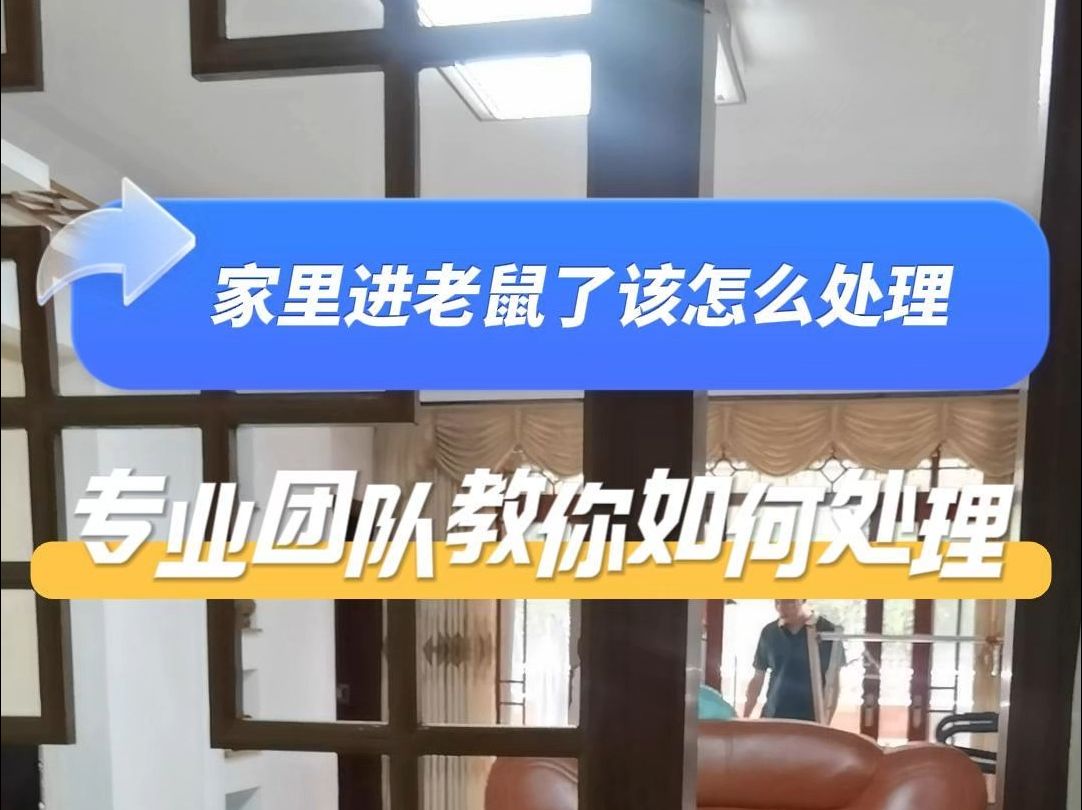 家里进老鼠了该怎么处理?专业团队教你如何处理