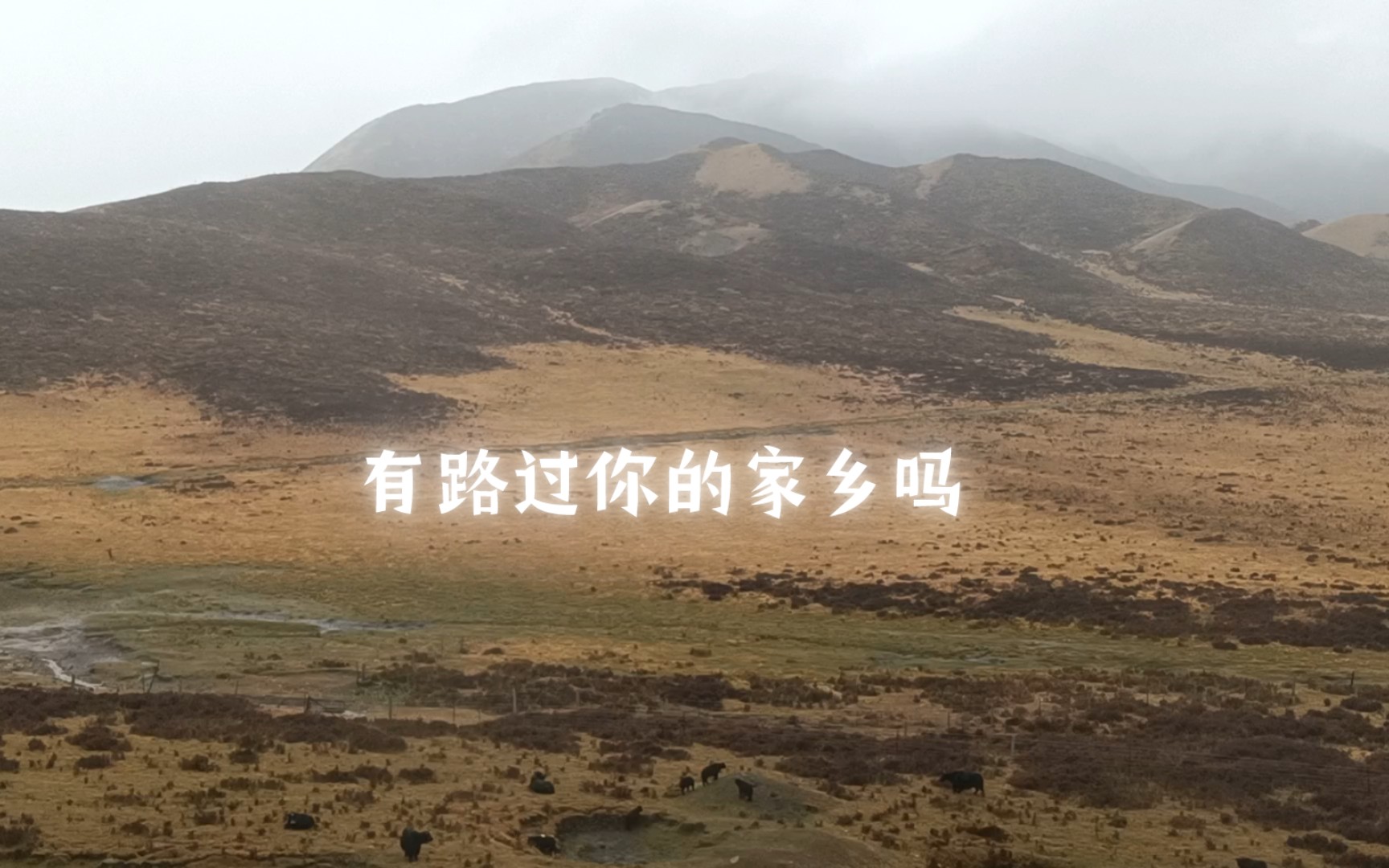 长途火车|河南郑州到新疆喀什