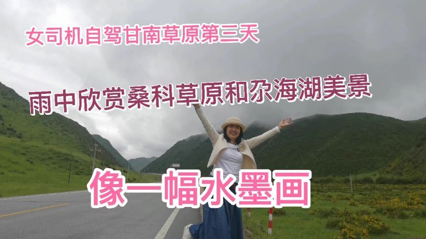 自驾甘南草原第三天/雨中赏桑科草原和尕海湖美景,像一副水墨画
