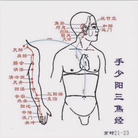 十二经络的作用:经络通,全身通!