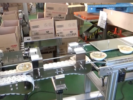 ...自动化控制分流并道合流,塑料链板输送线,柔性链输送系统,齿形链龙...