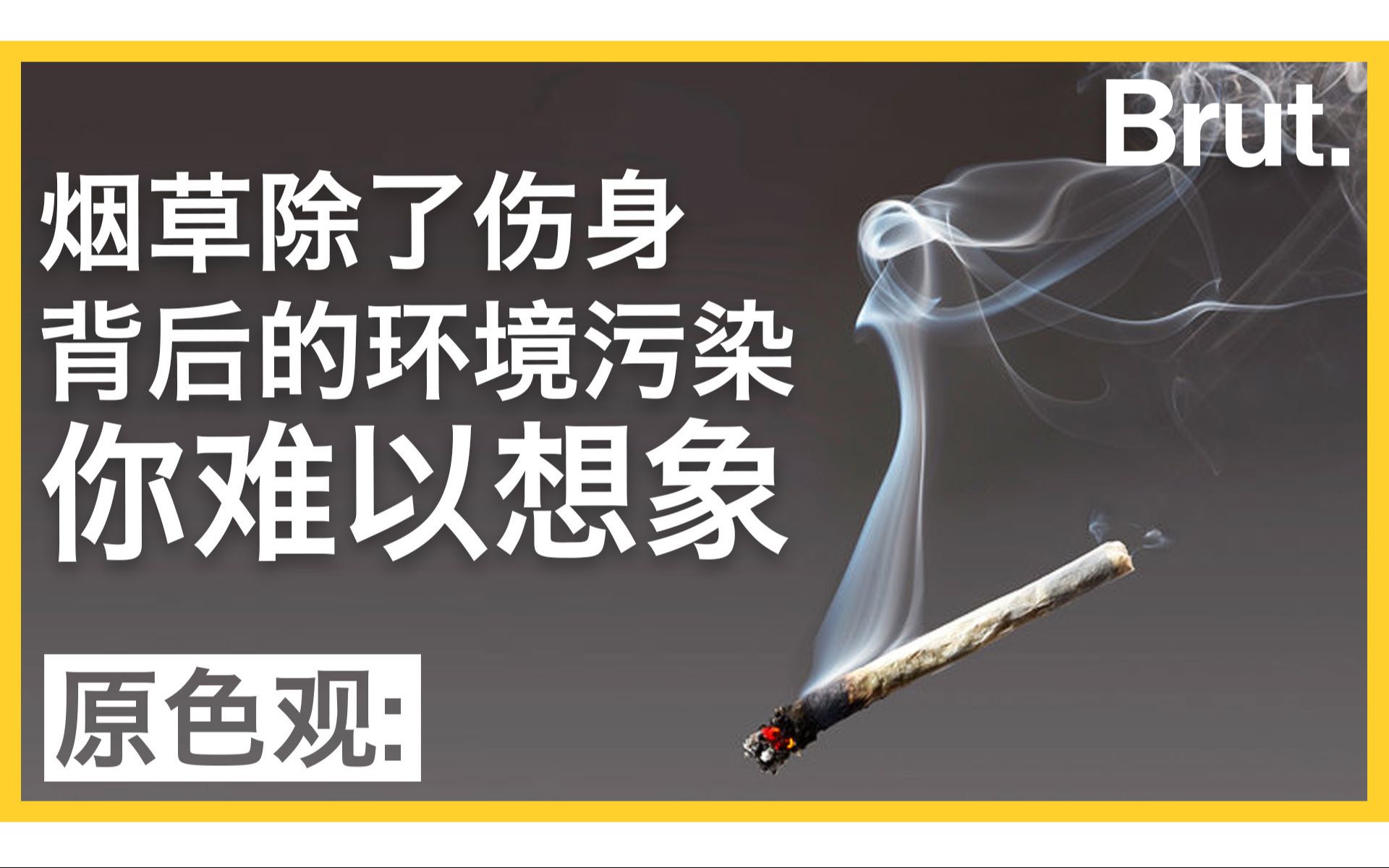 吸烟除了会让你早衰,它的环境污染之大你想过吗?