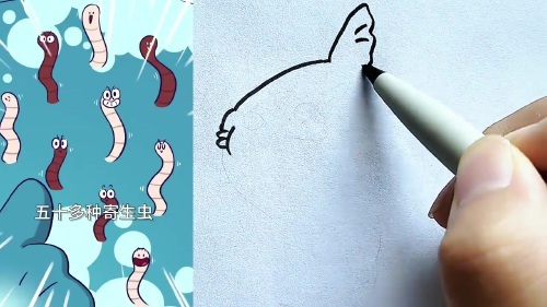 3104. 你认识这种鱼吗?创意简笔画,一起学画画