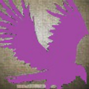 crowpurple 