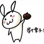 栗子君带你找工作 