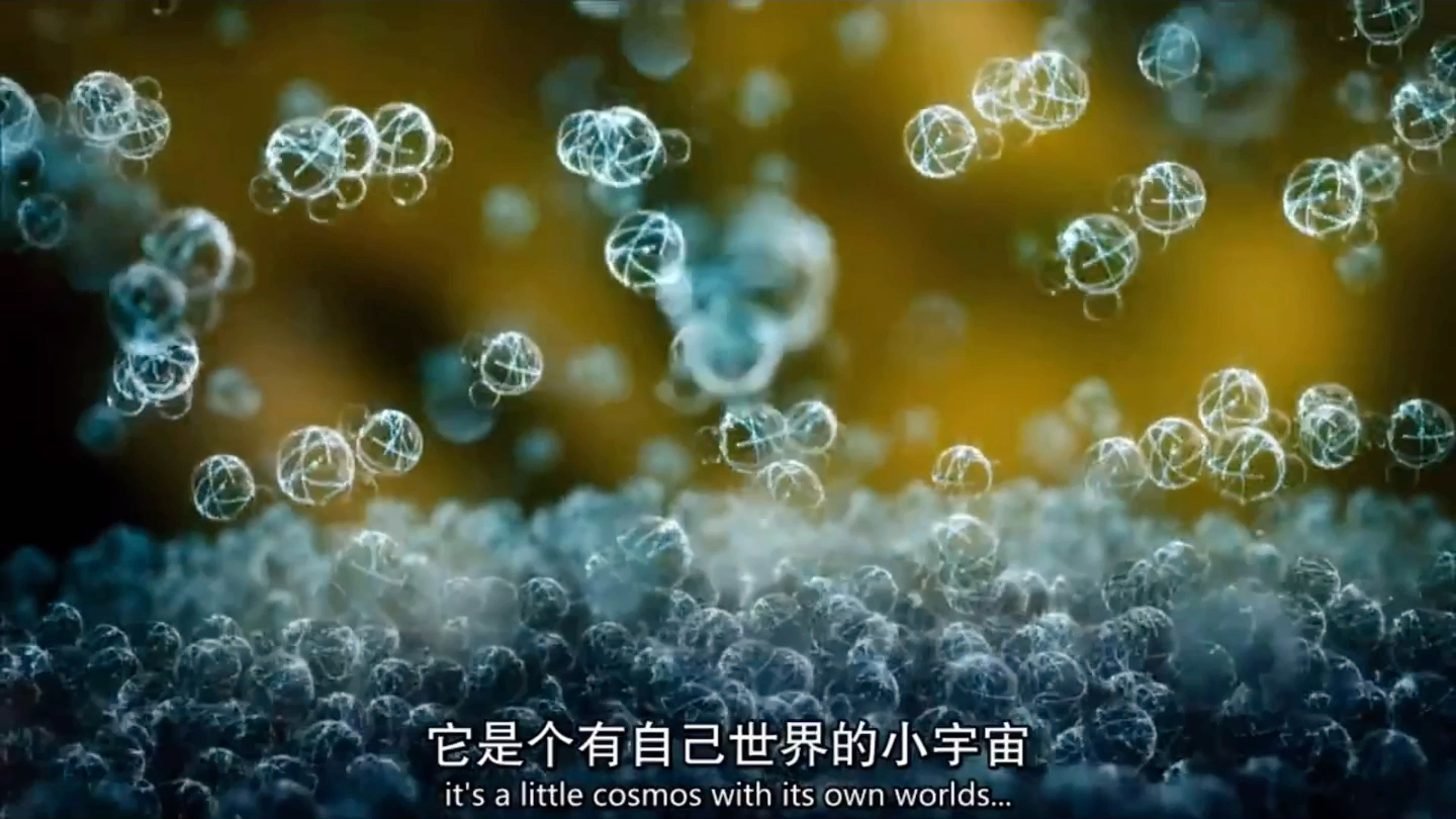 微观世界:水分子的蒸发与凝结
