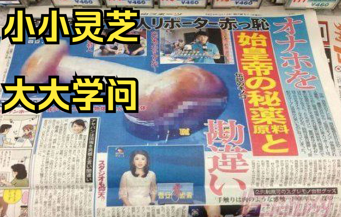 最惨女记者 人生第一次报道“太岁” 可是为什么会变成这个样子呢?