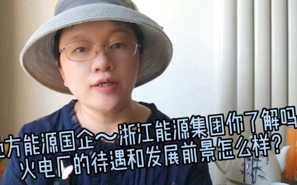 浙江省能源集团你了解吗?火电厂的待遇和发展前景怎么样?