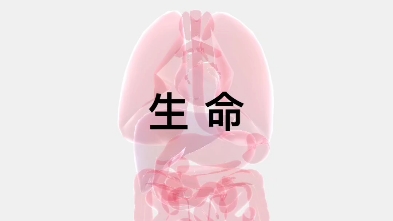 经过我十分钟尽力抢救,患者依然不幸去世,游戏名生命模拟器life
