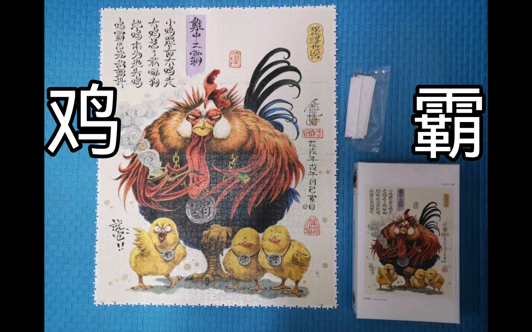 【华仔的一天】公鸡中滴战斗鸡,欧耶～