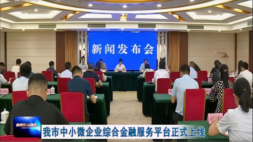 安庆市中小微企业综合金融服务平台正式上线