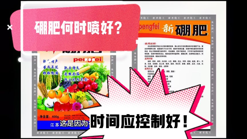 硼肥何时喷好呢?