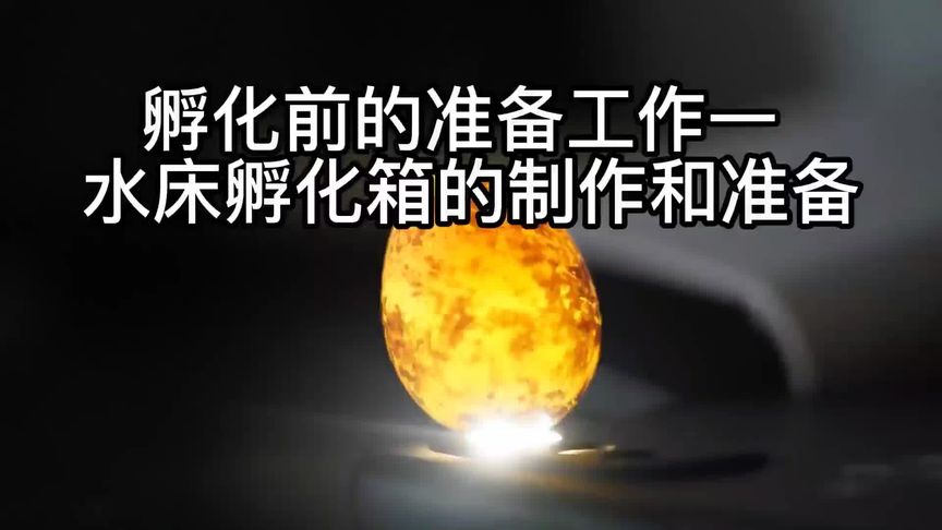 新手必看,芦丁鸡高概率孵化箱制作教程