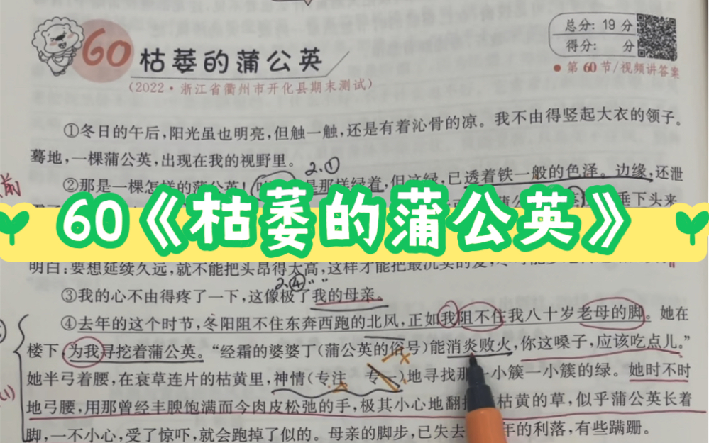阅读理解讲解60•《枯萎的蒲公英》