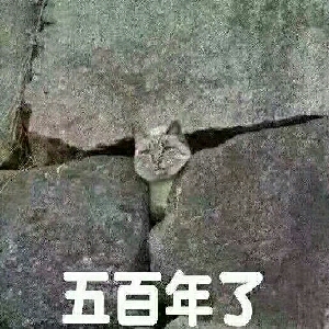 上初中的老孩子 