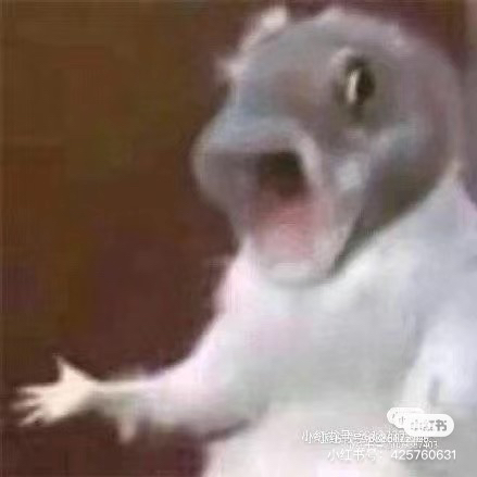玖阮- 