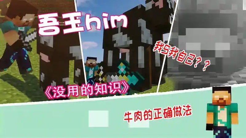 我的世界:没用的知识,生物变大术,魔法的力量