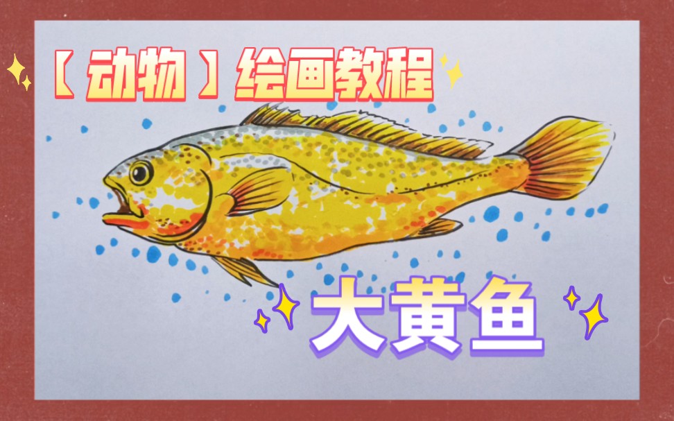 【动物】绘画教程,画一只大黄鱼。
