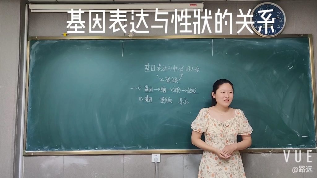 《基因表达与性状的关系》高中生物试讲