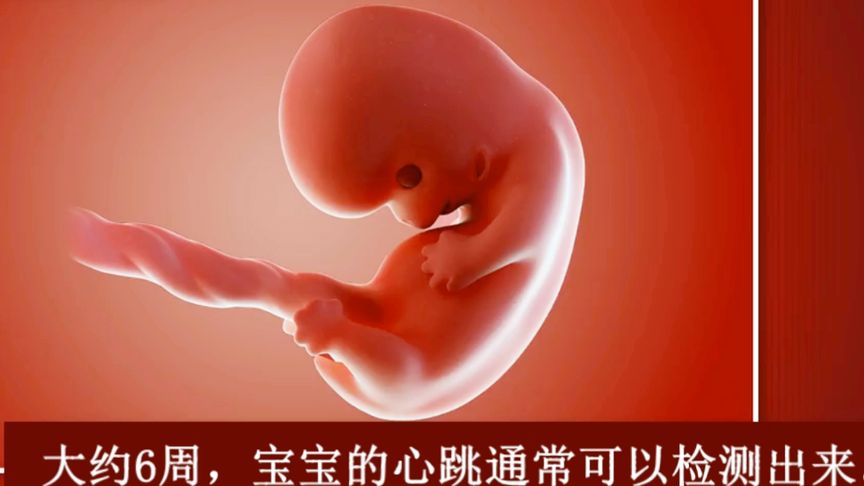 胎儿在妈妈肚子里十个月的发展,详尽到每一周的发育,值得收藏