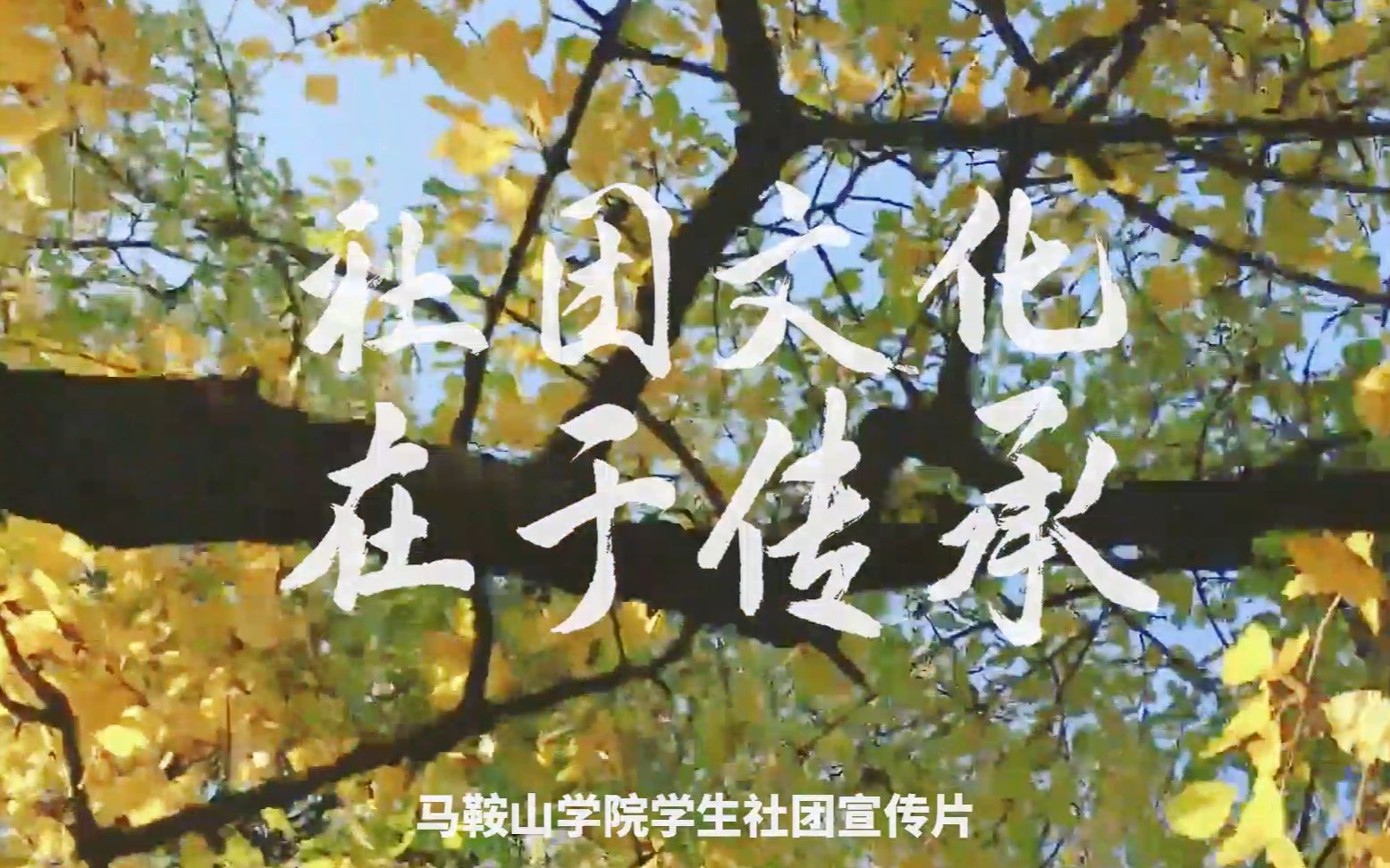 协会宣传片