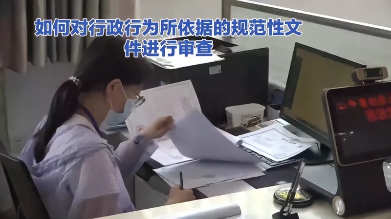 如何对行政行为所依据的规范性文件进行审查
