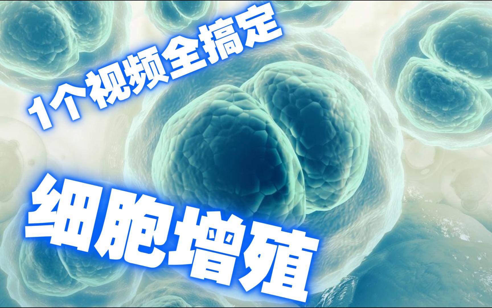 细胞增殖,1个视频让你完全理解,长生不老的基础