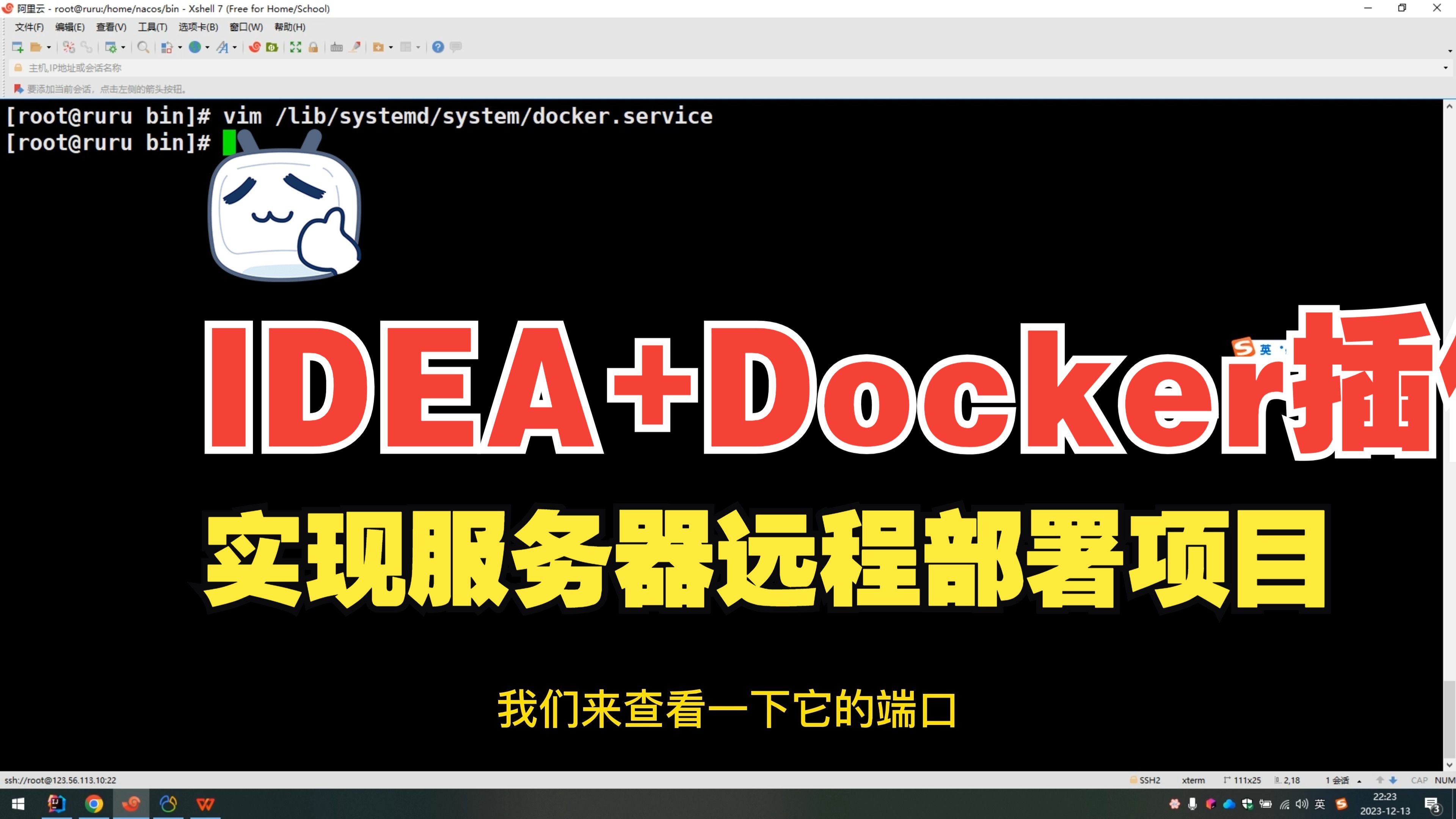 IDEA+Docker插件,实现服务器远程部署项目!