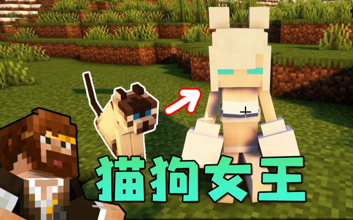 ★我的世界★娘化猫狗模组_我的世界