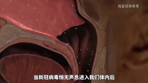 你的免疫系统正在保护着你免疫系统杀疯了免疫细胞科普