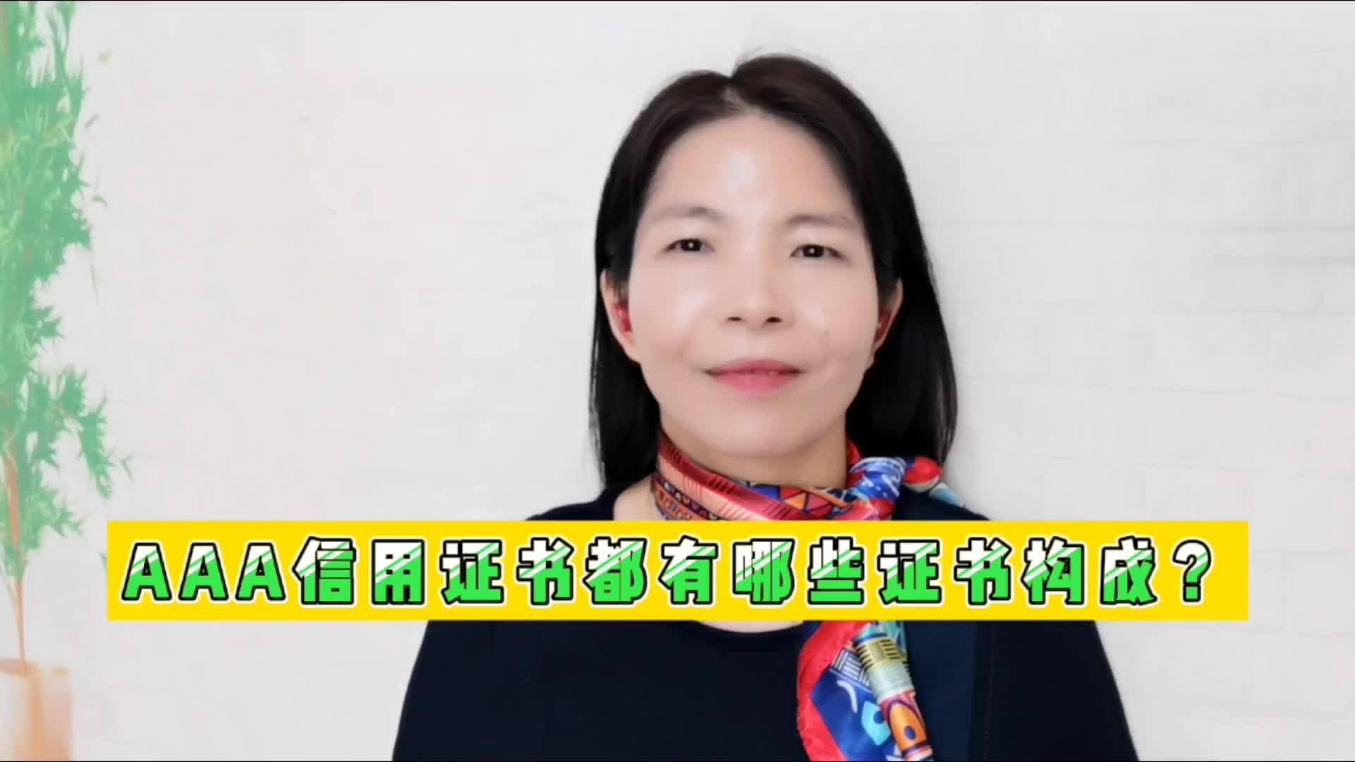 AAA信用证书都有哪些证书构成?