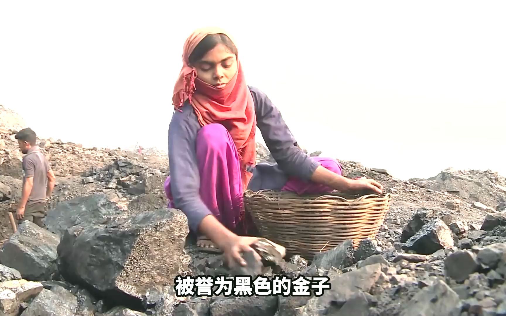 煤是如何形成的?资源有限,中国煤炭会枯竭吗?