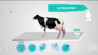 职业技术学院教学课件交互动画FLASH微课