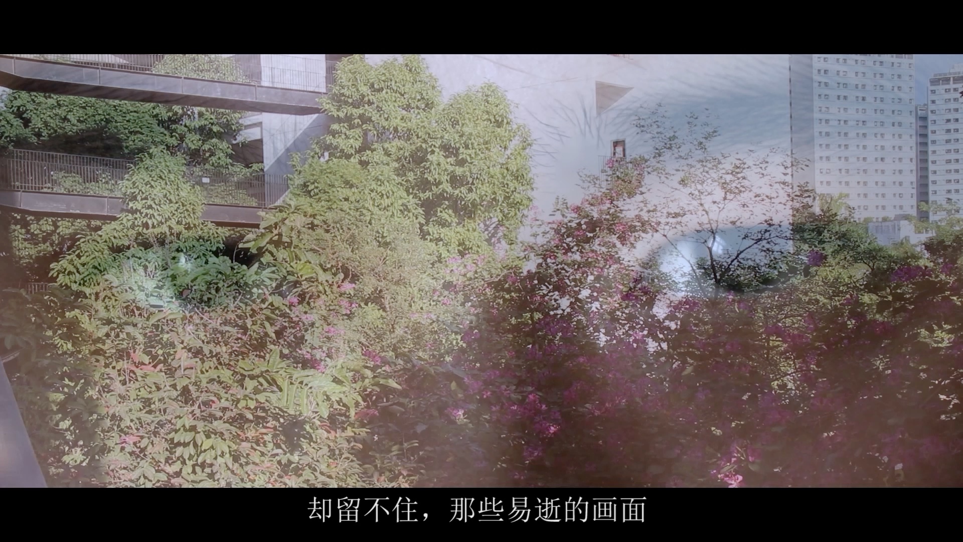 深信息管理学院文管专业微电影展宣传片大学生作业,助力每一个大学...