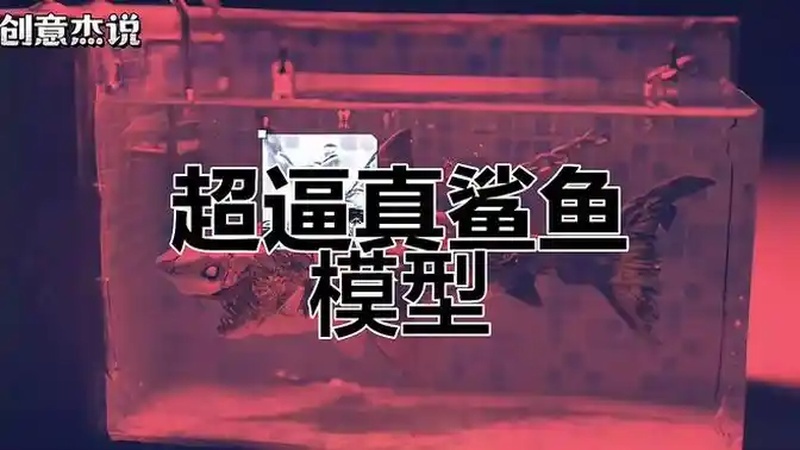 16岁男孩自制鲨鱼模型,逼真效果惊人
