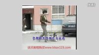 狗狗训练01-怎么训练阿拉斯加犬大小便