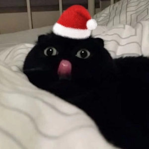 呜呜呜奶狗嘴一个 