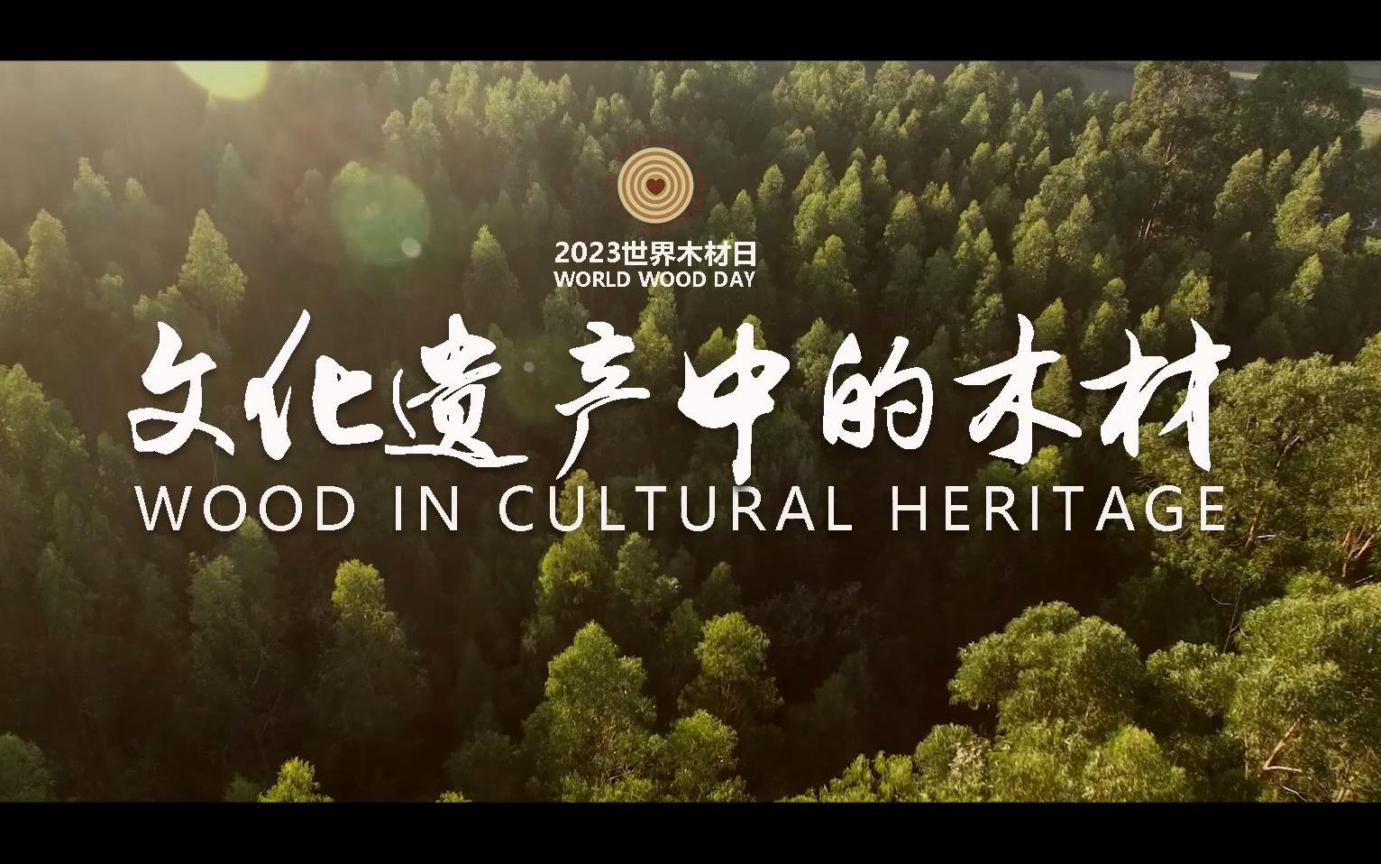 “2023世界木材日·中国”直播庆祝活动致辞